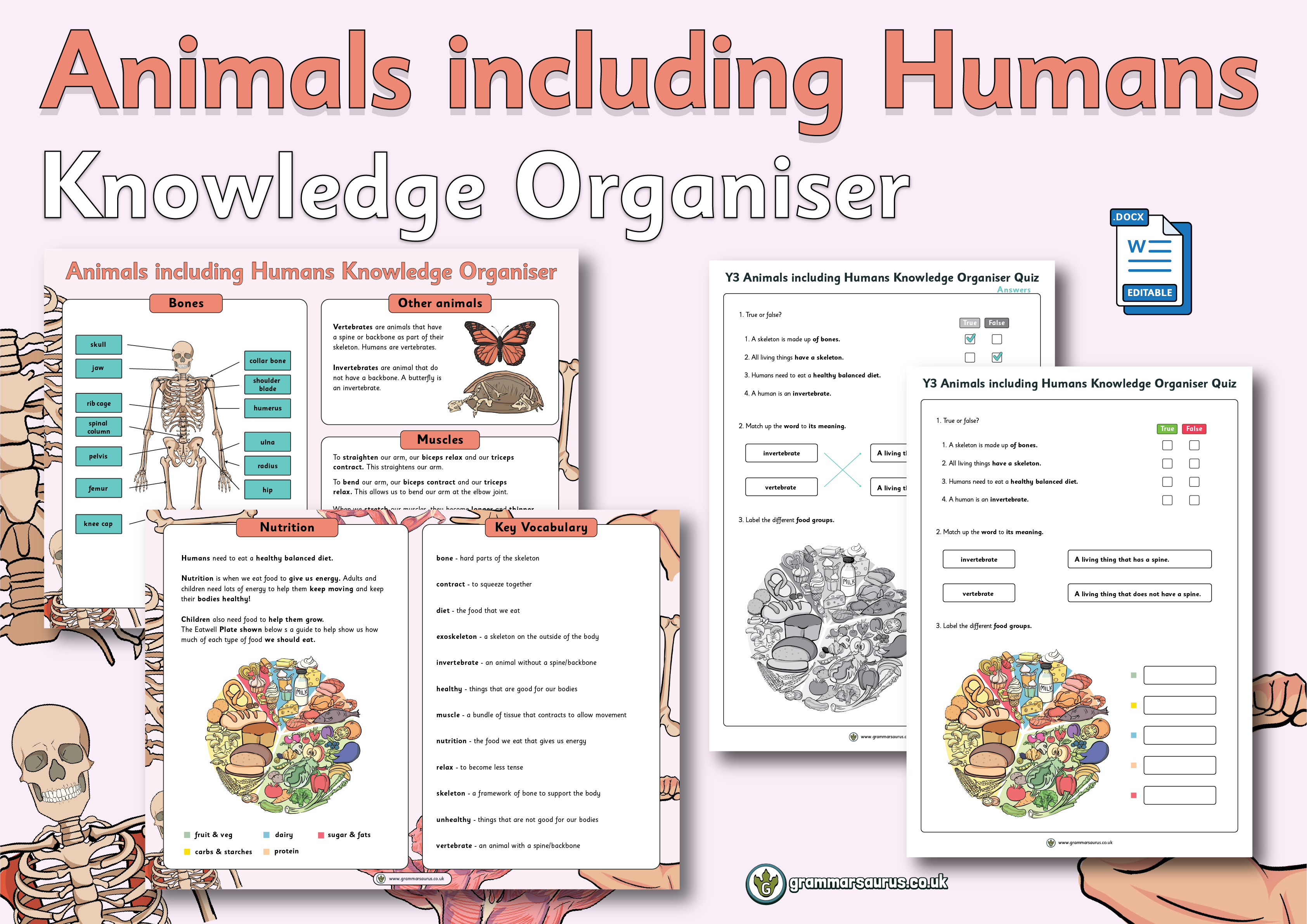 Year 3 Science – Animals including Humans – Knowledge Organiser ...