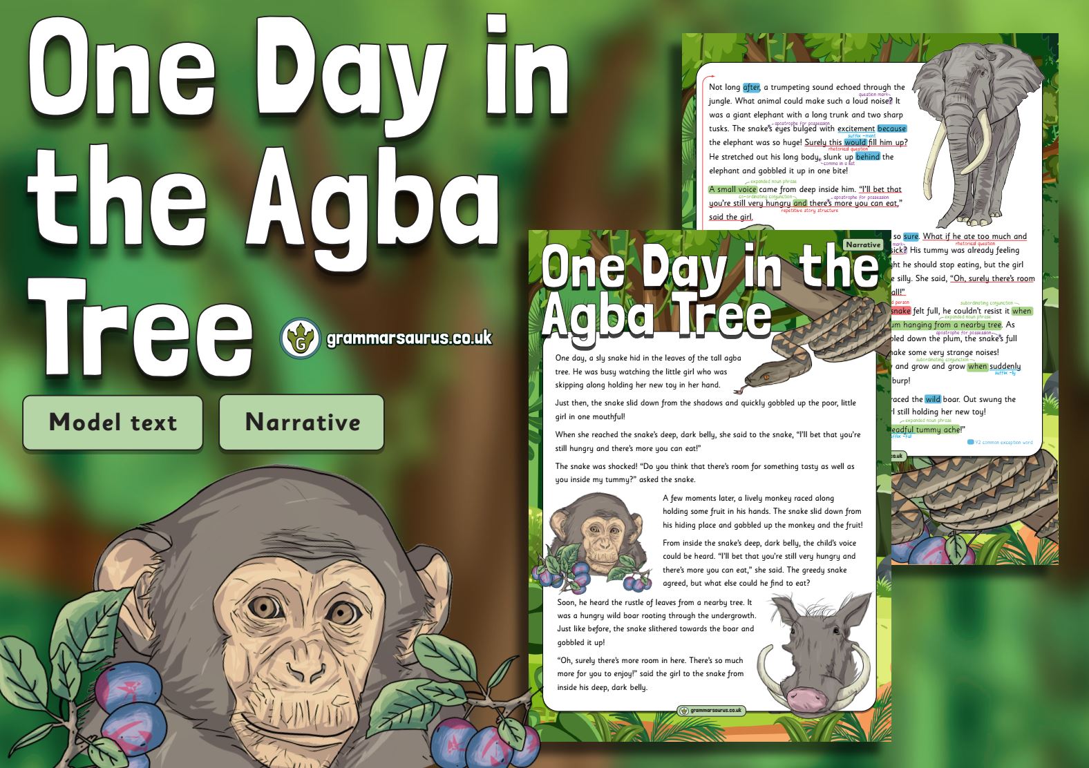 KS1 Model Texts - Grammarsaurus