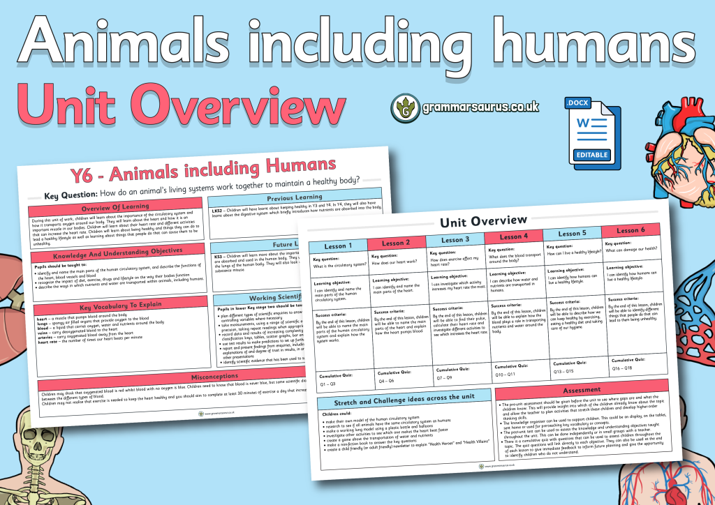 Year 6 Animals including Humans - Grammarsaurus