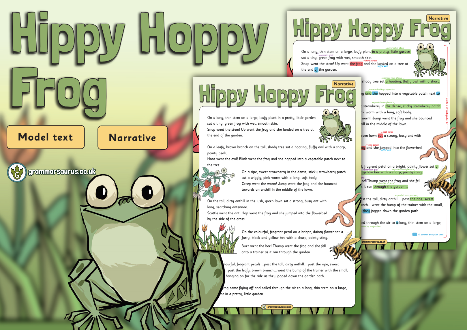 Year 1 Model Text – Narrative – Hippy Hoppy Frog - Grammarsaurus