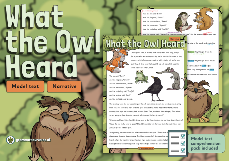 Year 2 Model Text – Narrative – What the owl heard - Grammarsaurus