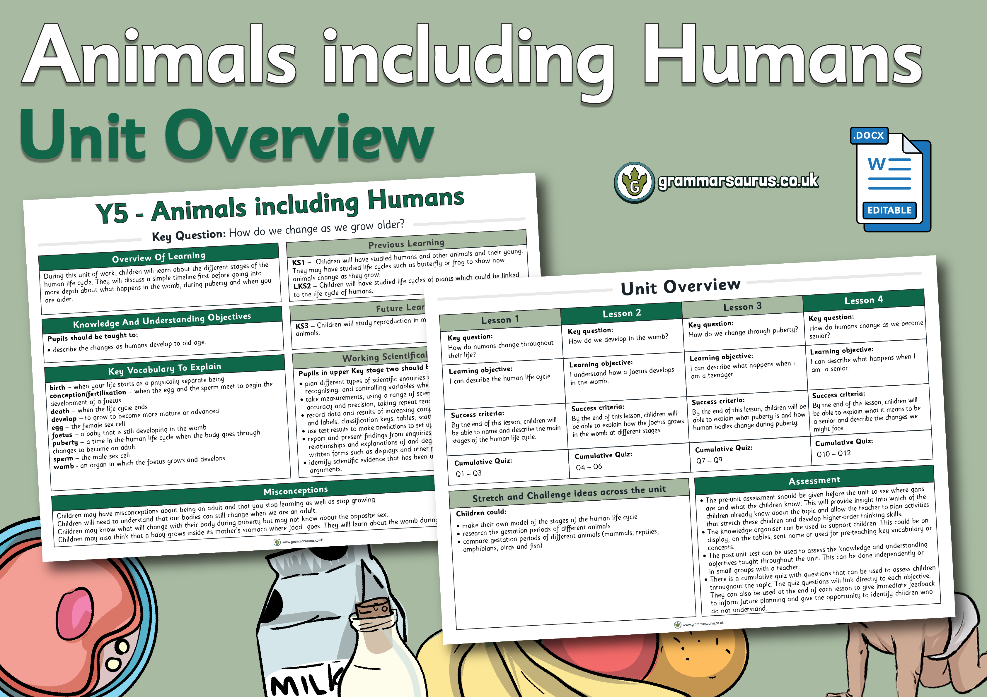 Year 5 Science – Animals including Humans – Unit Overview - Grammarsaurus