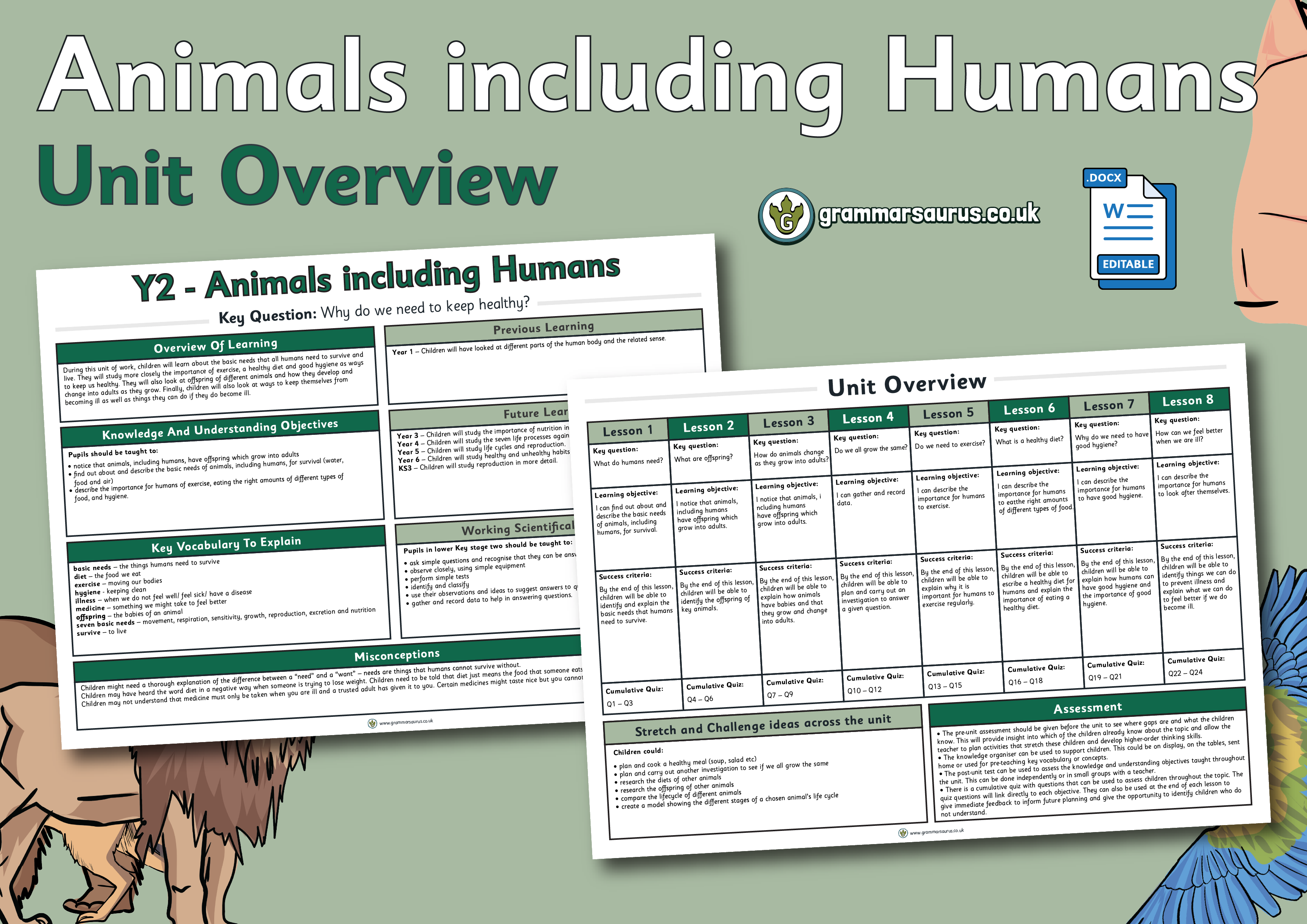 Year 2 Science - Animals including Humans - Unit Overview - Grammarsaurus