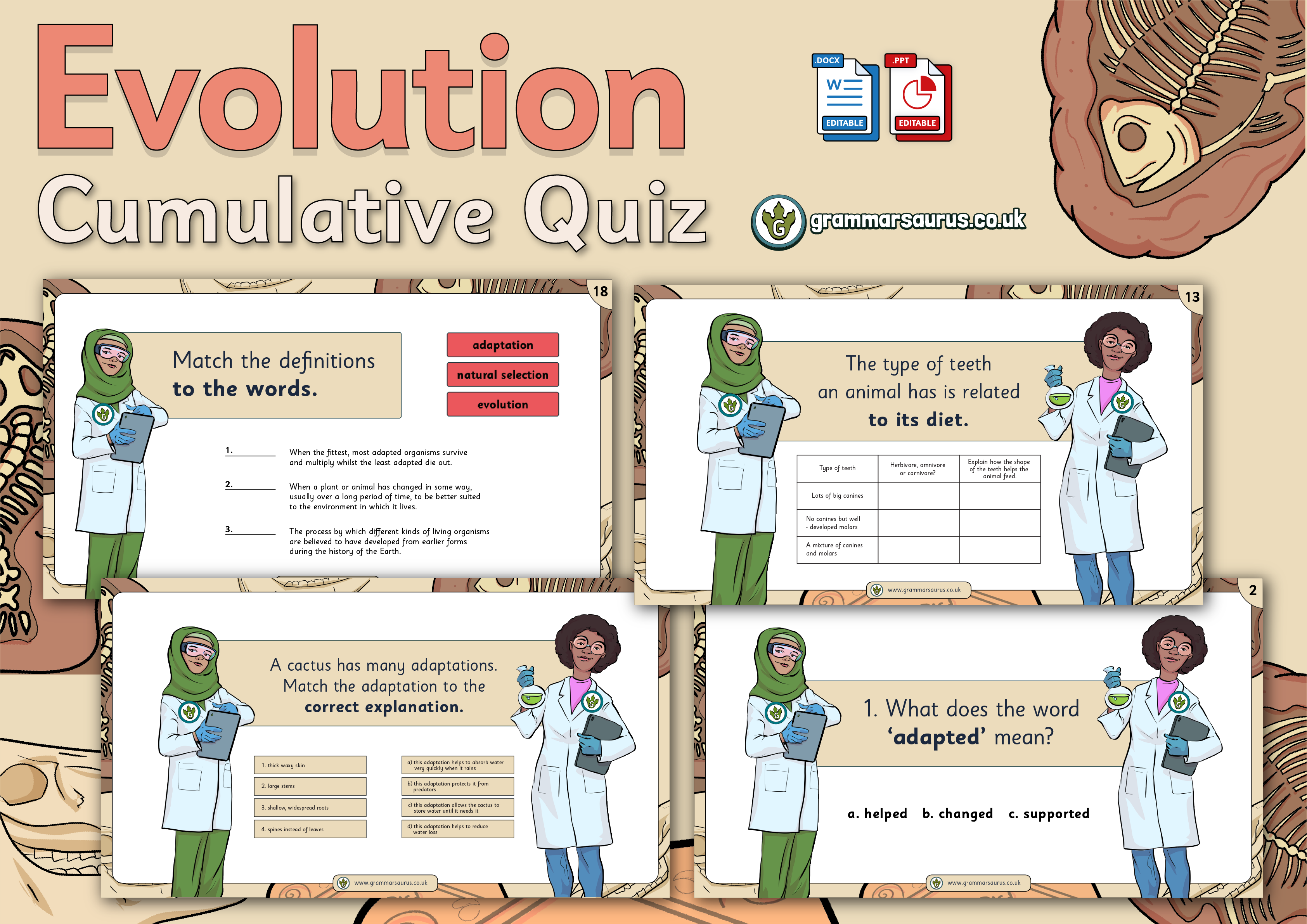 Year 5 Science – Animals including Humans – Cumulative Quiz - Grammarsaurus