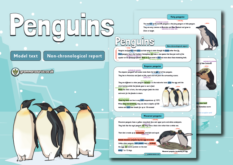 Year 2 Model Text – Non-chronological report – Penguins - Grammarsaurus