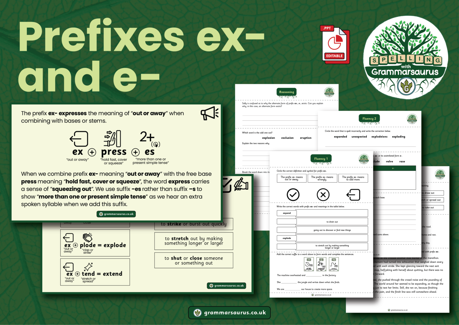 Y3 objective 23 (Prefixes ex- and e- ) - Grammarsaurus