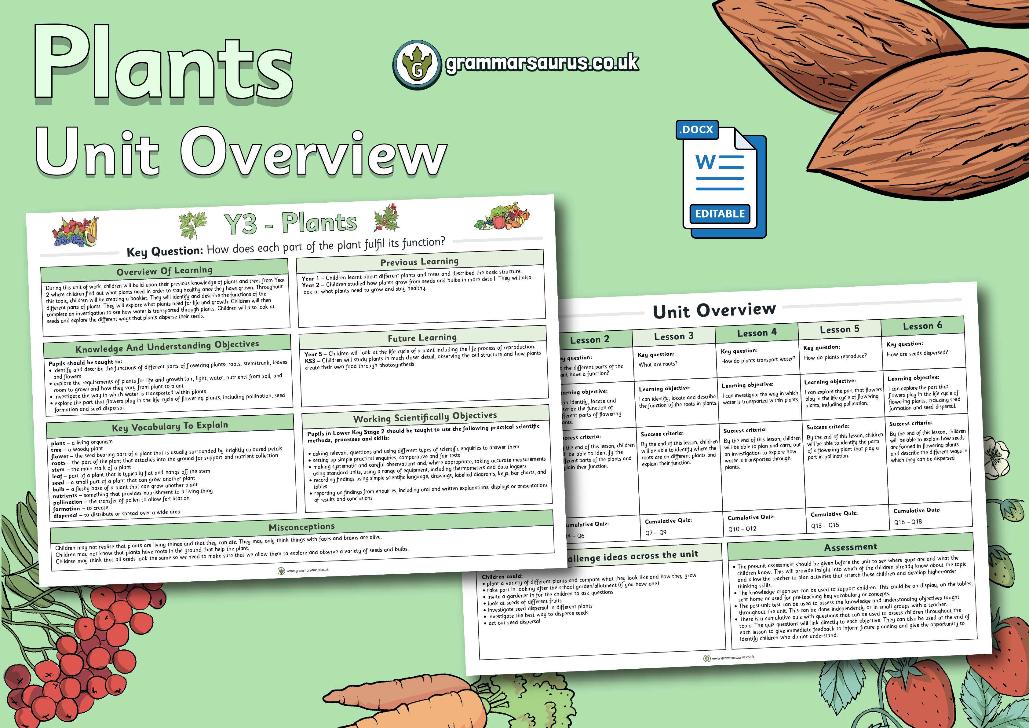 Year 3 Science – Plants – Unit Overview - Grammarsaurus