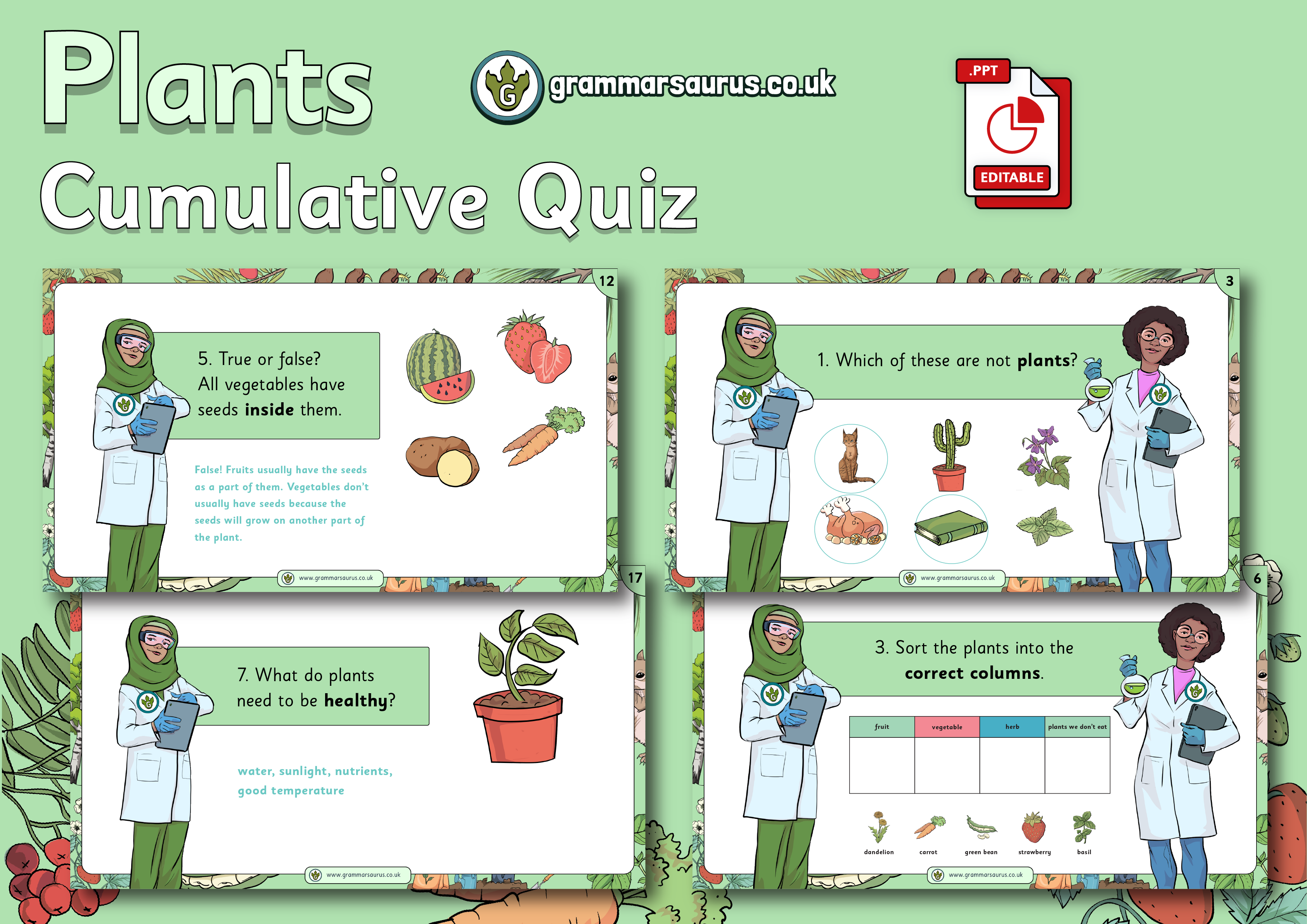 Year 2 Science – Plants – Cumulative Quiz - Grammarsaurus