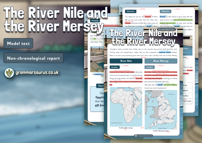 EYFS Pirates – Pattern Activity - Grammarsaurus