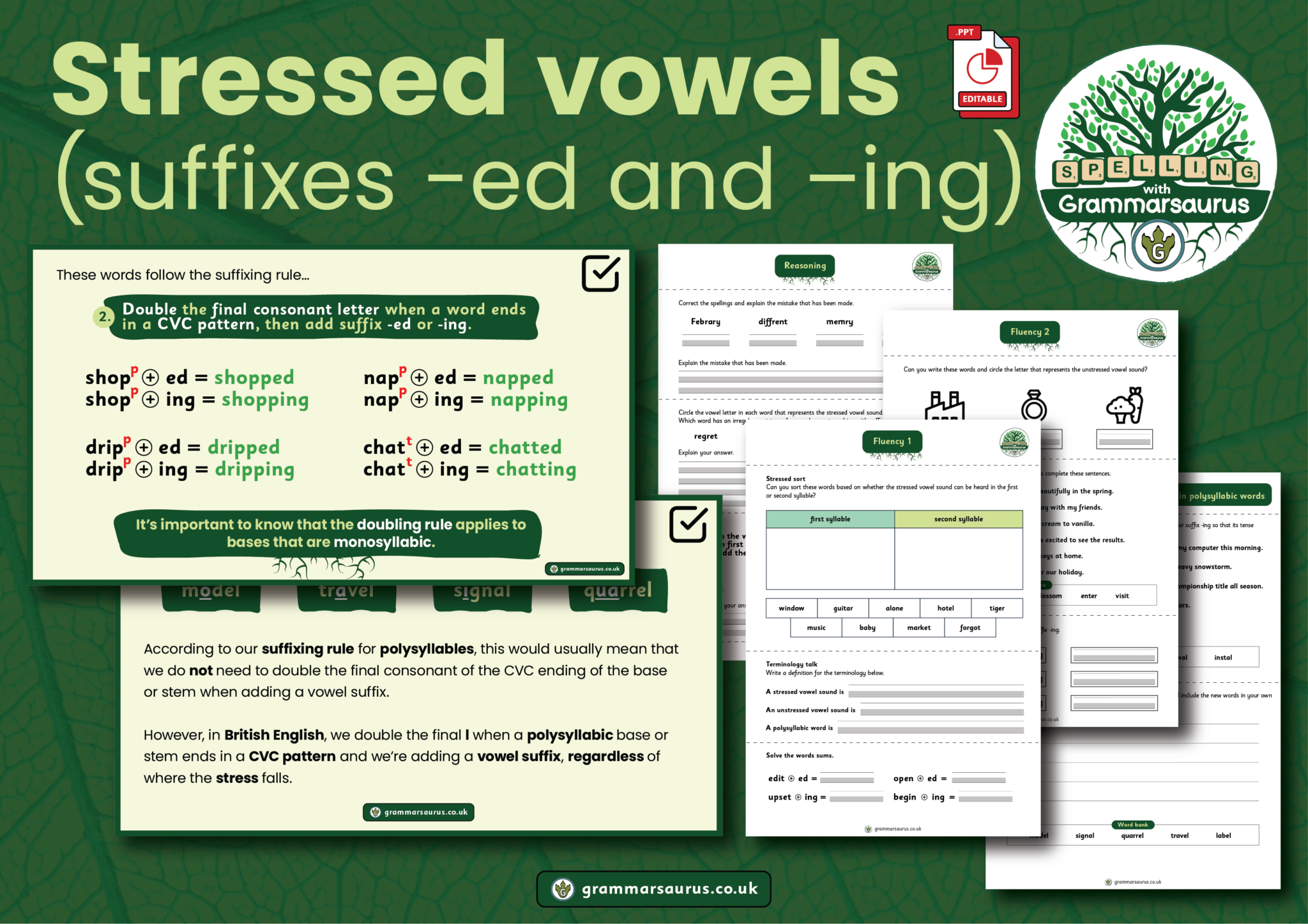 Y3 objective 18 - Stressed vowels (suffixes -ed and -ing) - Grammarsaurus