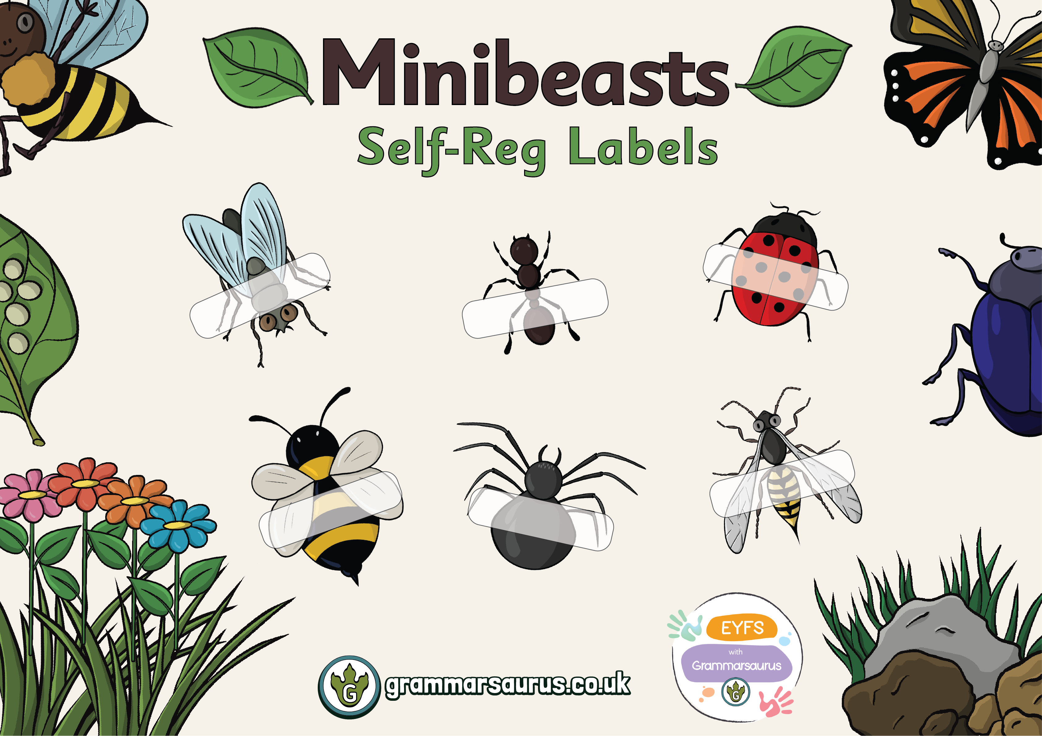 EYFS Minibeasts – Self-Reg Labels - Grammarsaurus
