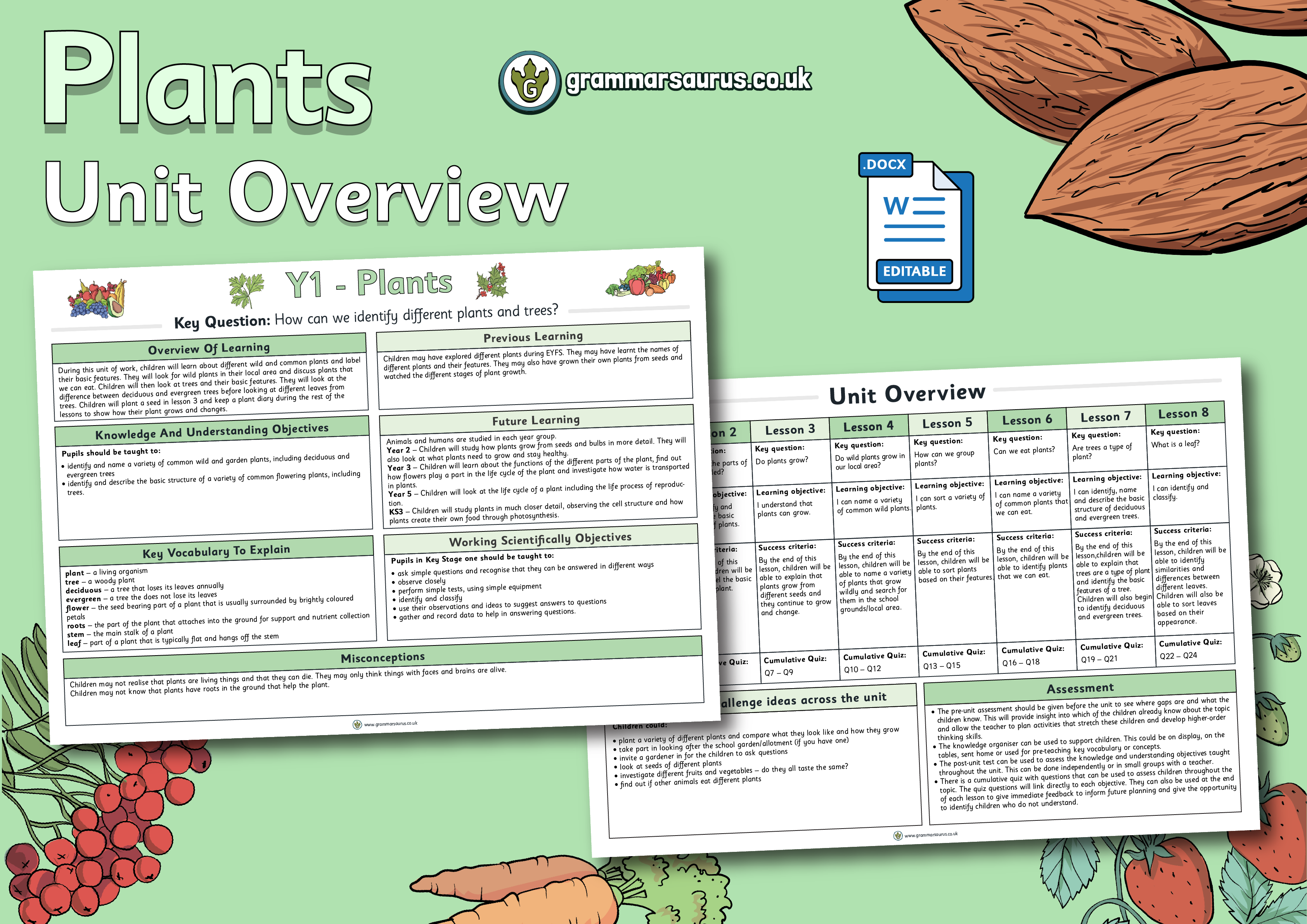 Year 1 Science – Plants – Unit Overview - Grammarsaurus