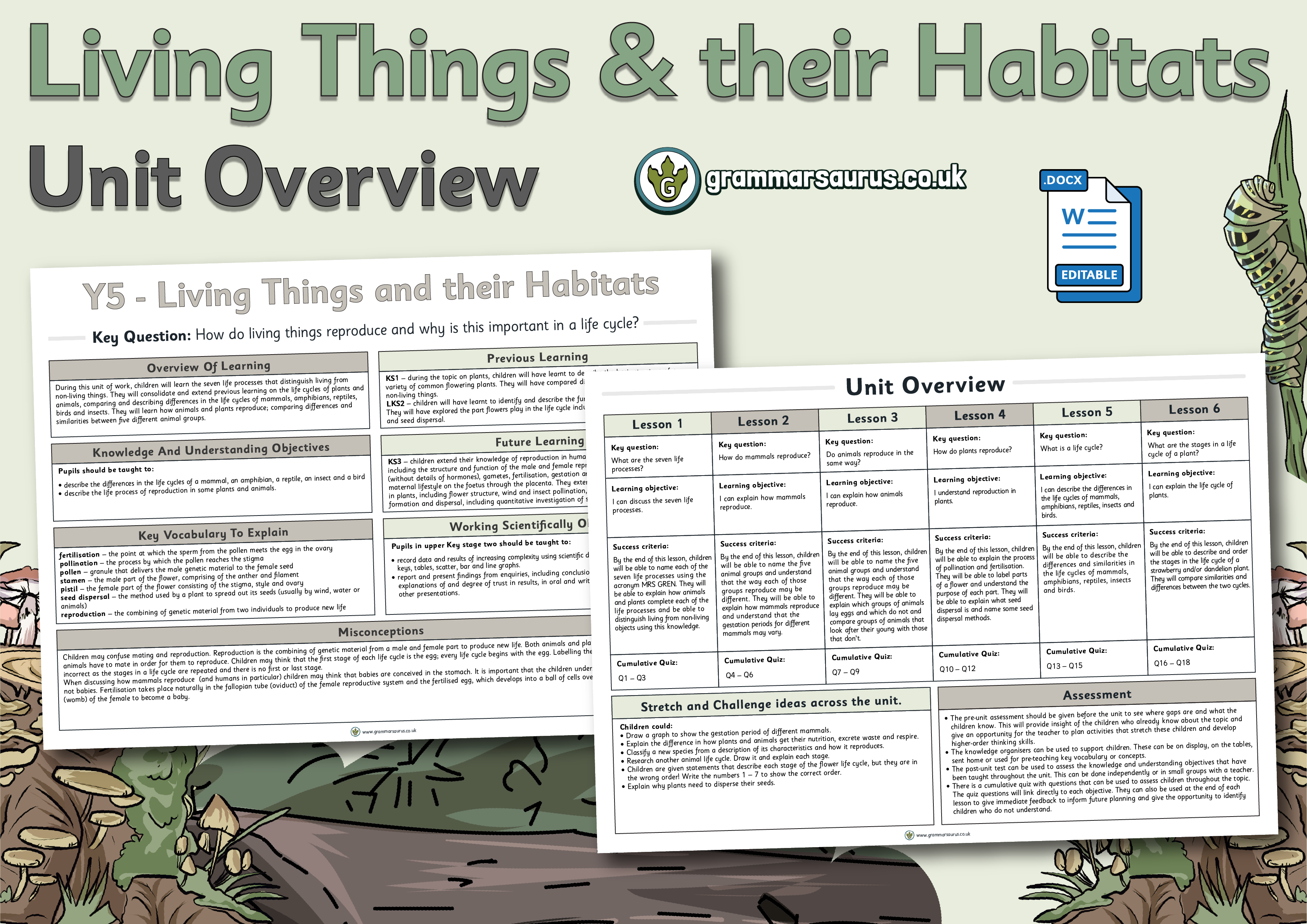 ad web (2) - Grammarsaurus