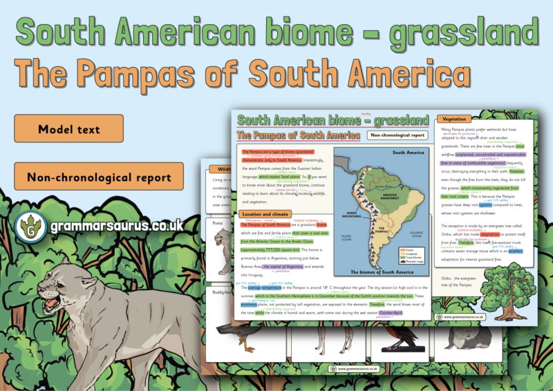 Year 5 Model Text – Non-chronological report – American biome ...