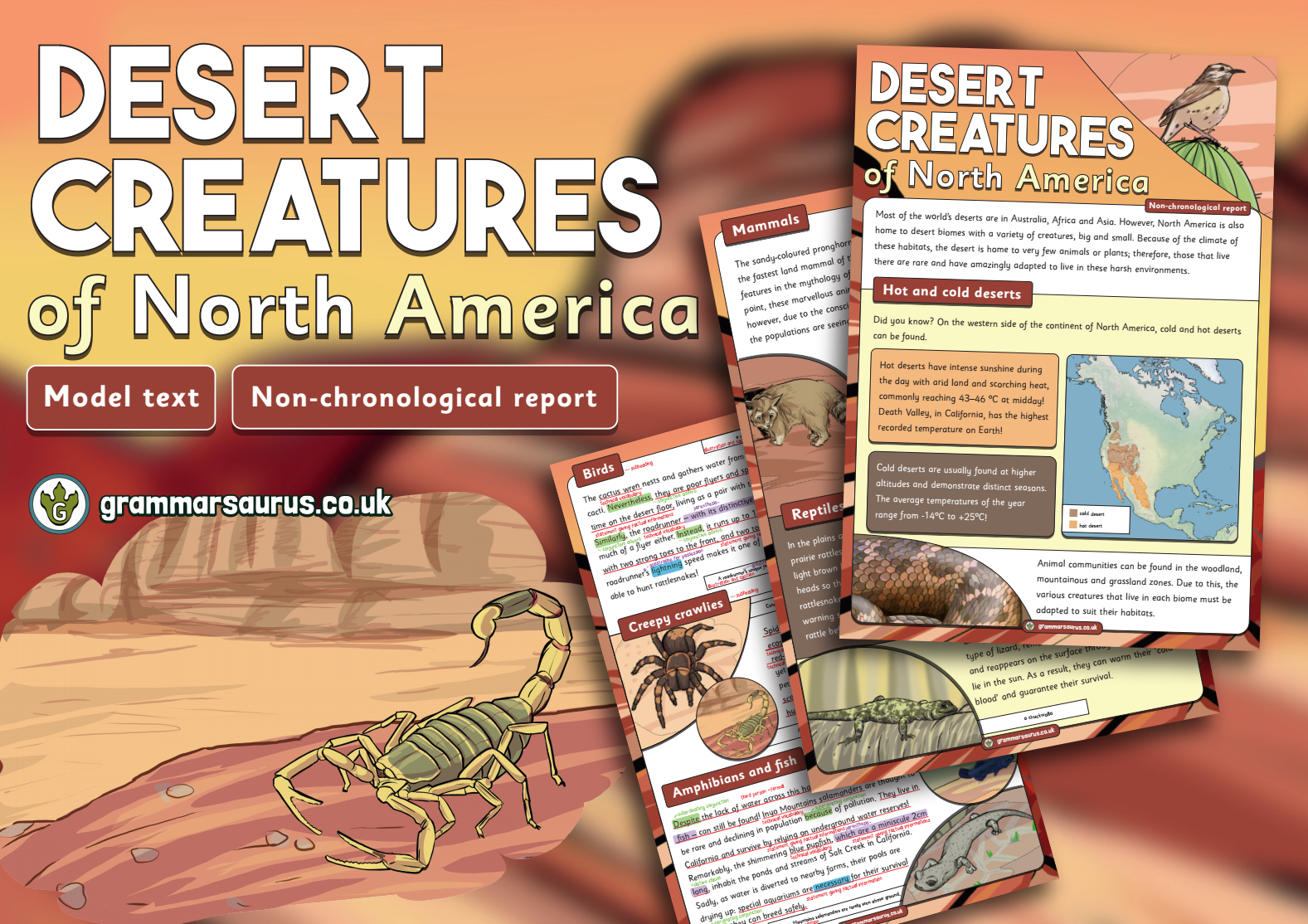 Year 5 Model Text – Non-chronological report – Desert Creatures of North America - Grammarsaurus