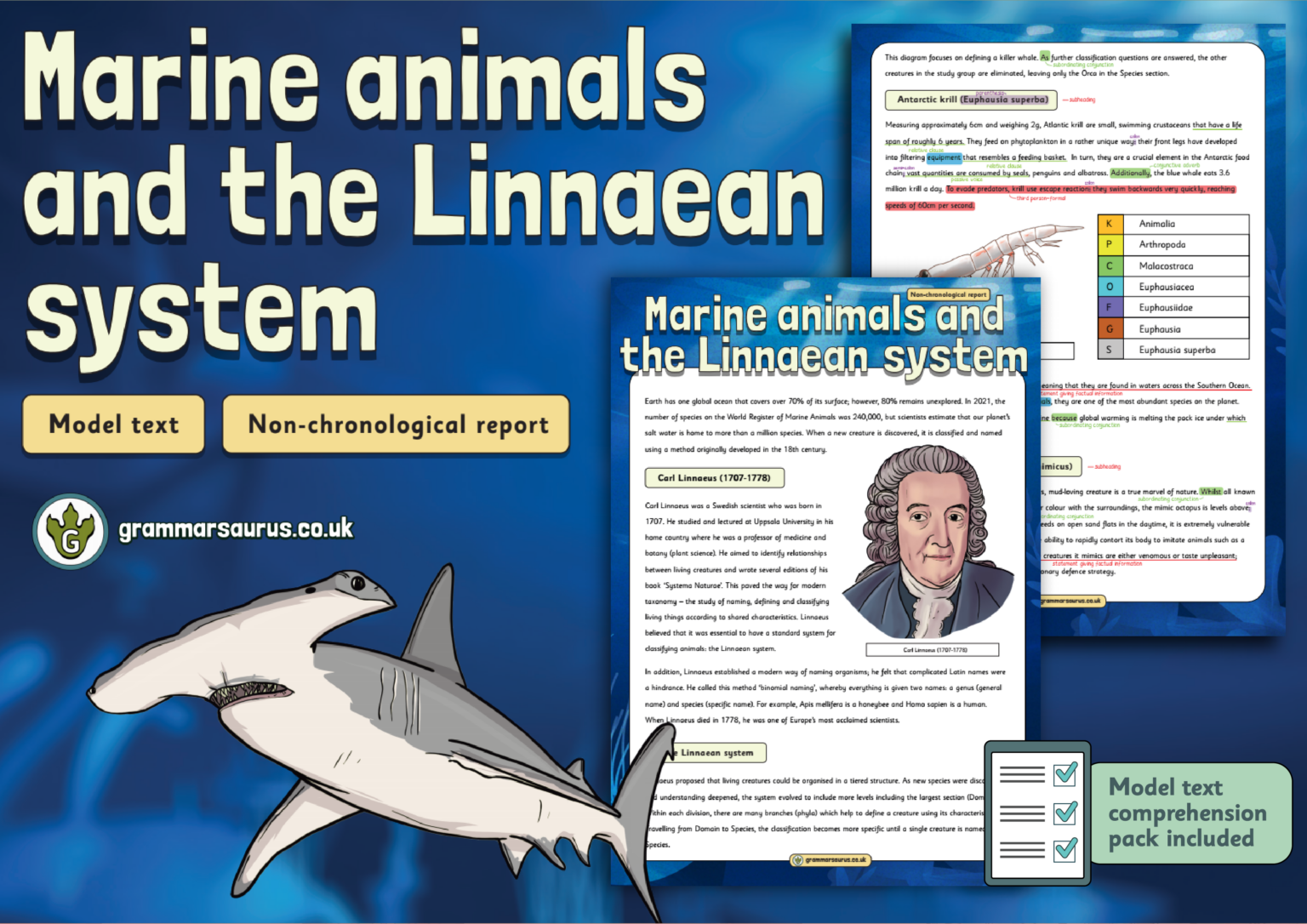 Year 6 Model Text – Non-chronological report – Marine animals and the ...