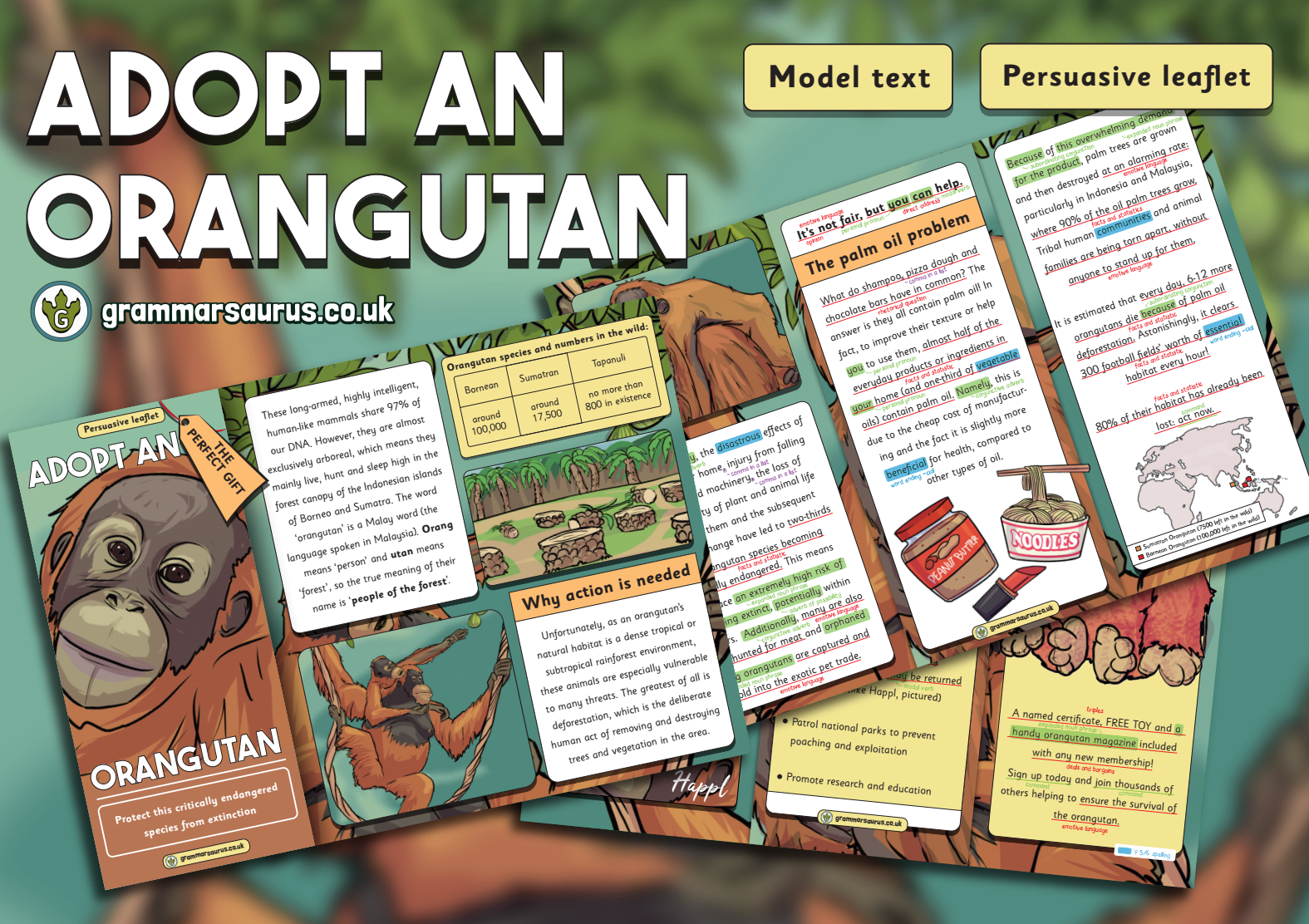 Year 5 Model Text – Persuasive leaflet – Adopt an Orangutan - Grammarsaurus