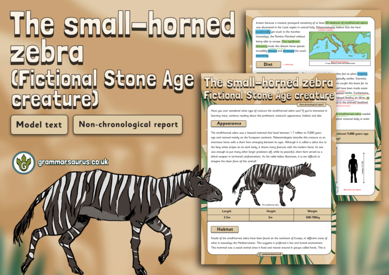 Year 3 Model Text – Non-chronological report – The small-horned zebra ...