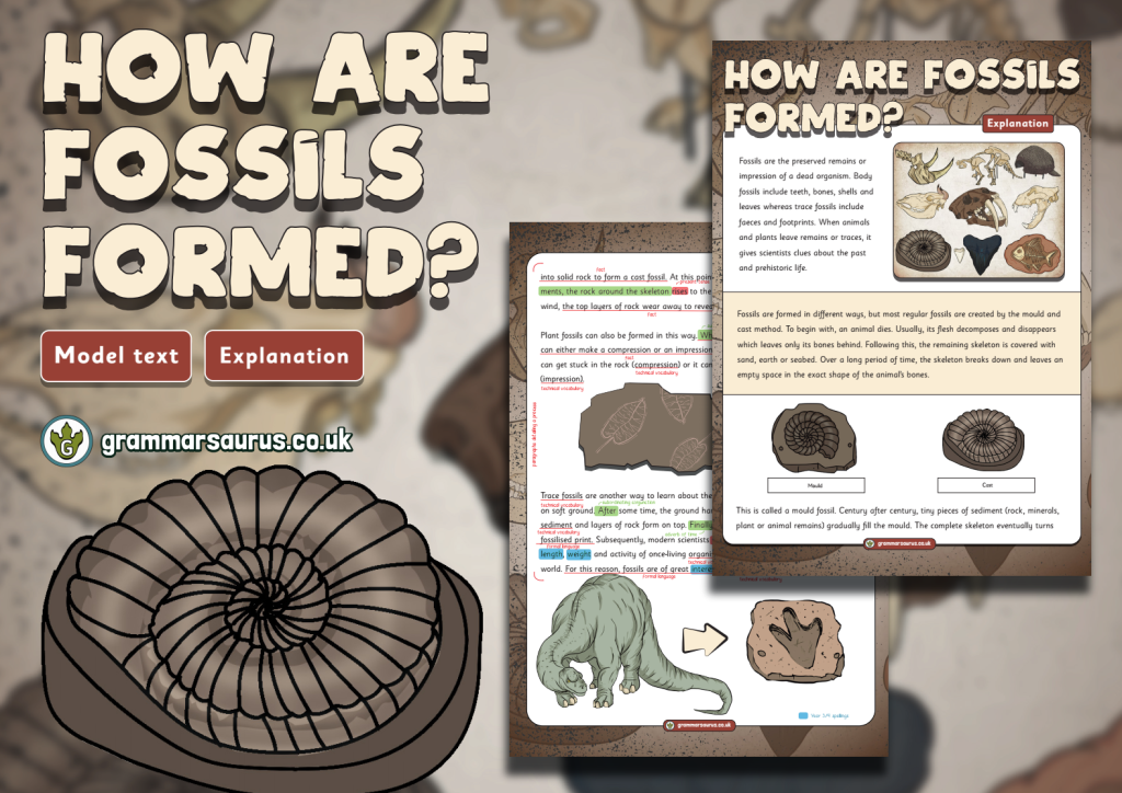 Year 3 Model Text – Explanation – How are fossils formed ( gbsct P3 ...