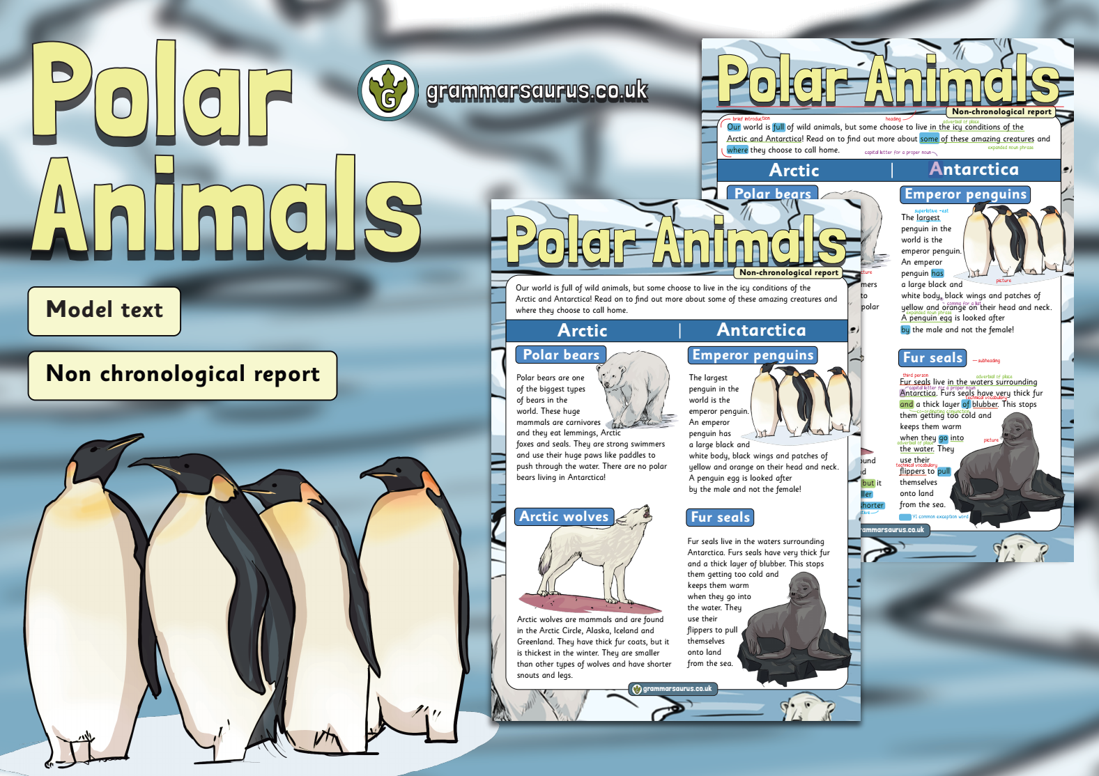 Year 1 Model Text – Non-chronological report – Polar Animals ...