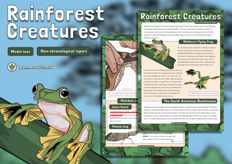 Year 4 Model Text – Non-chronological report – Rainforest Creatures ...