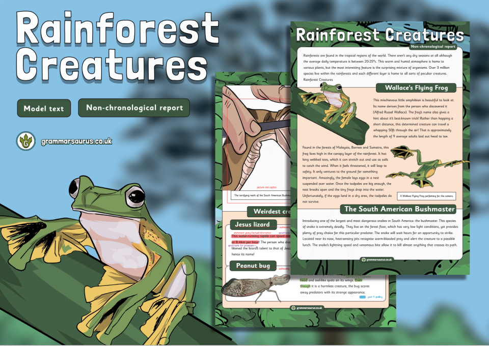 Year 4 Model Text – Non-chronological report – Rainforest Creatures ...