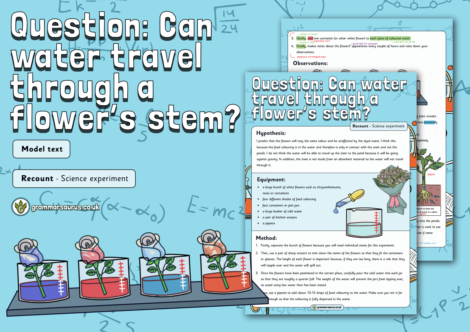 Year 3 Model Text – Science Experiment – Question: Can water travel ...