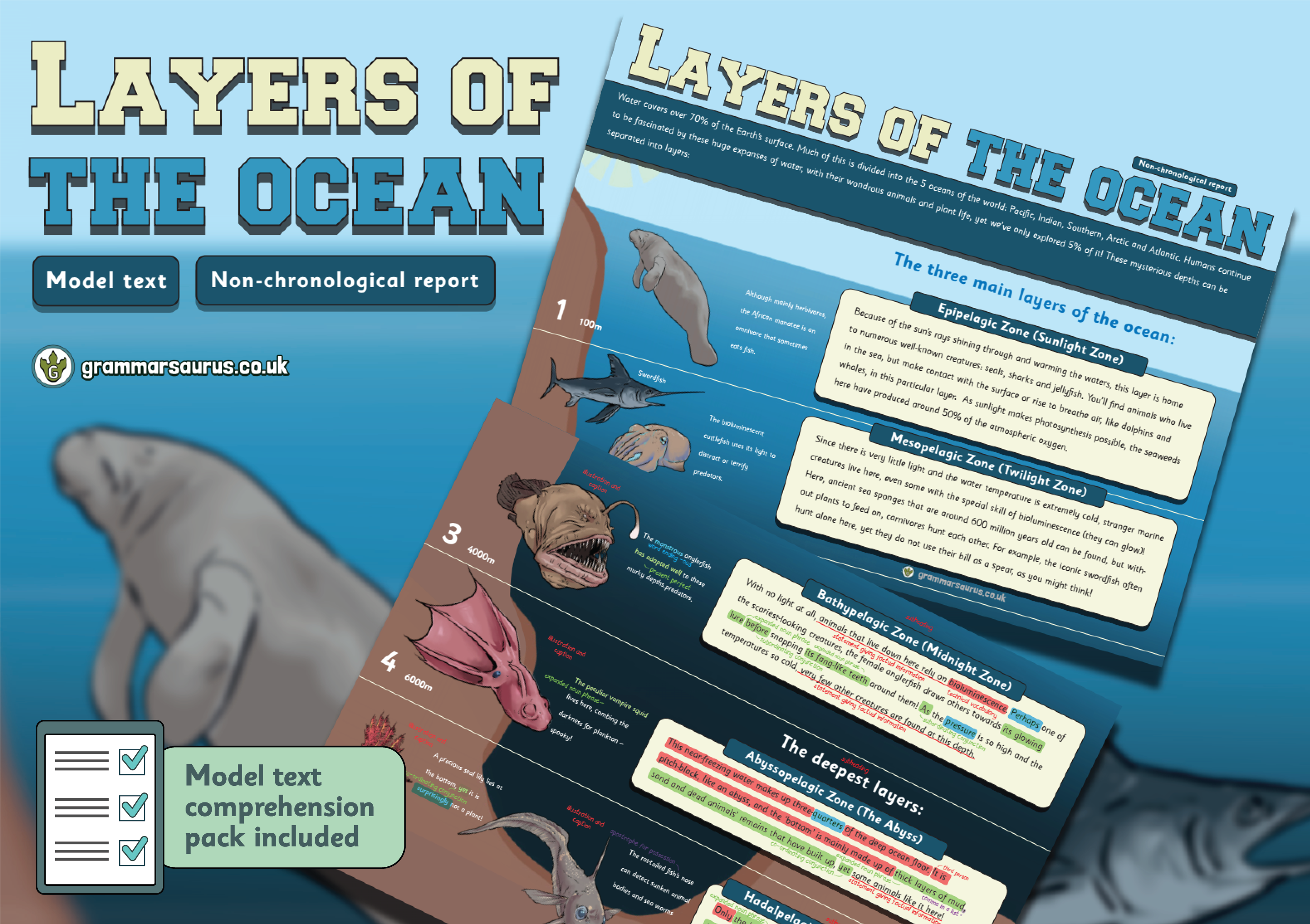 Ad (11) - Grammarsaurus