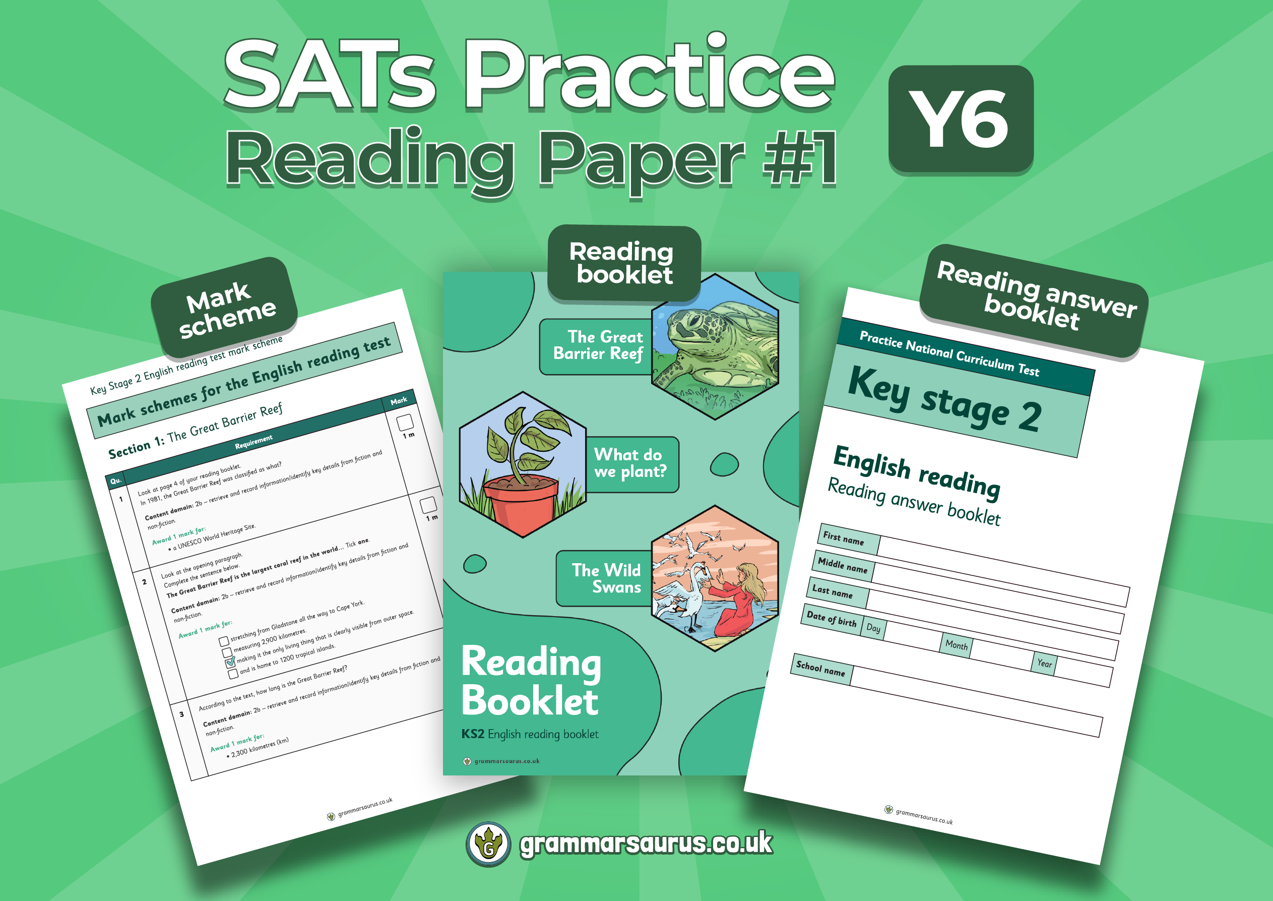 Year 6 SATs Practice Reading Paper - Grammarsaurus