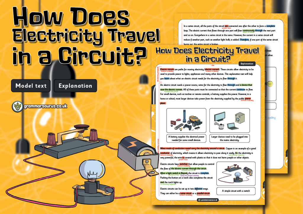 EYFS Minibeasts – Number Posters 1-10 Subitising - Grammarsaurus