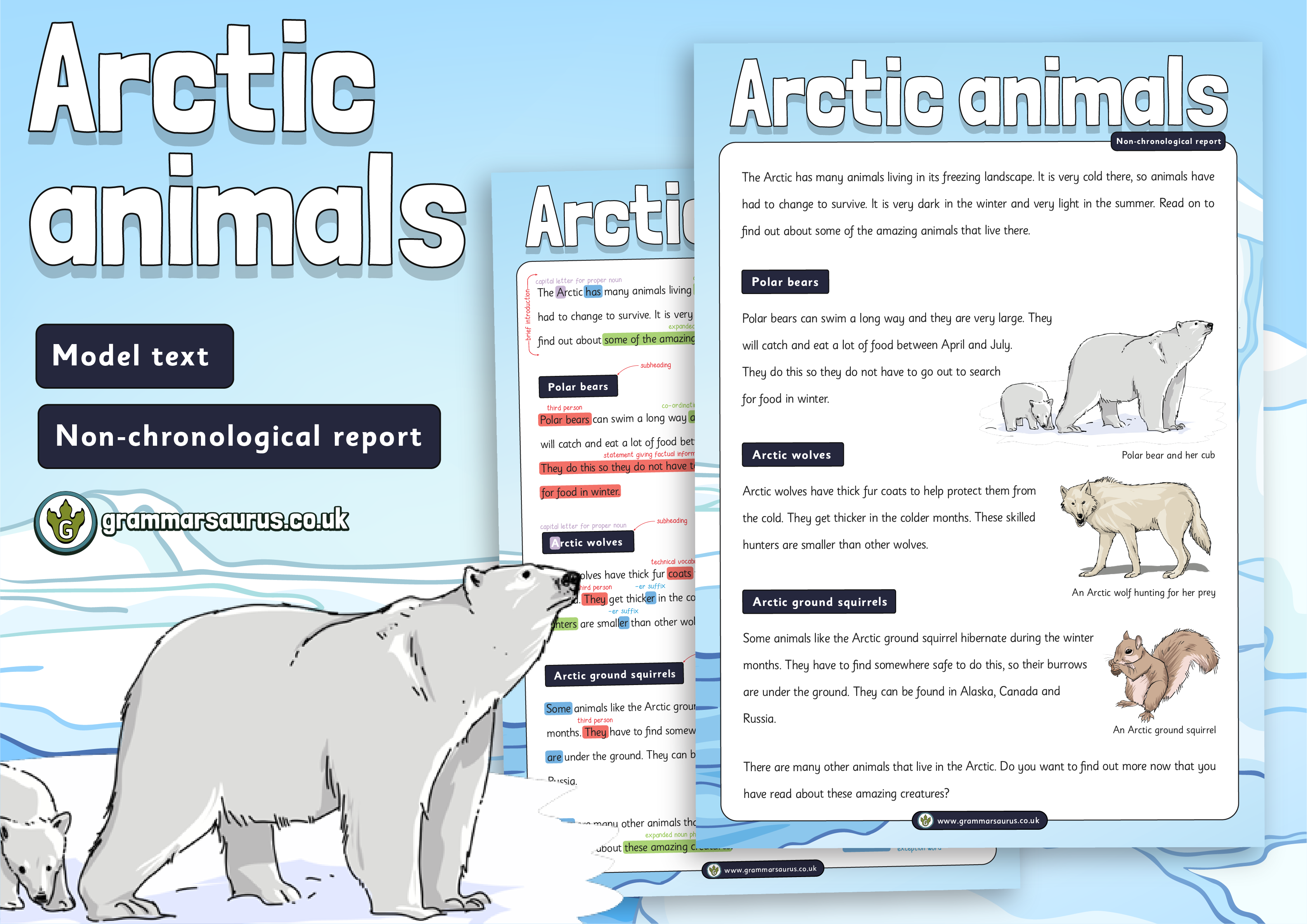Year 1 Model Text – Non-chronological report – Arctic animals ...