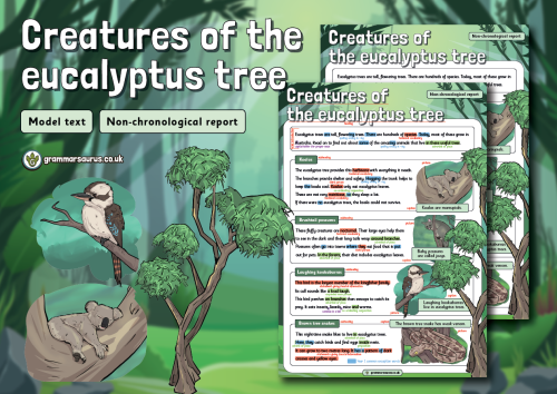 Year 1 Model Text – Non-chronological report – Creatures of the ...