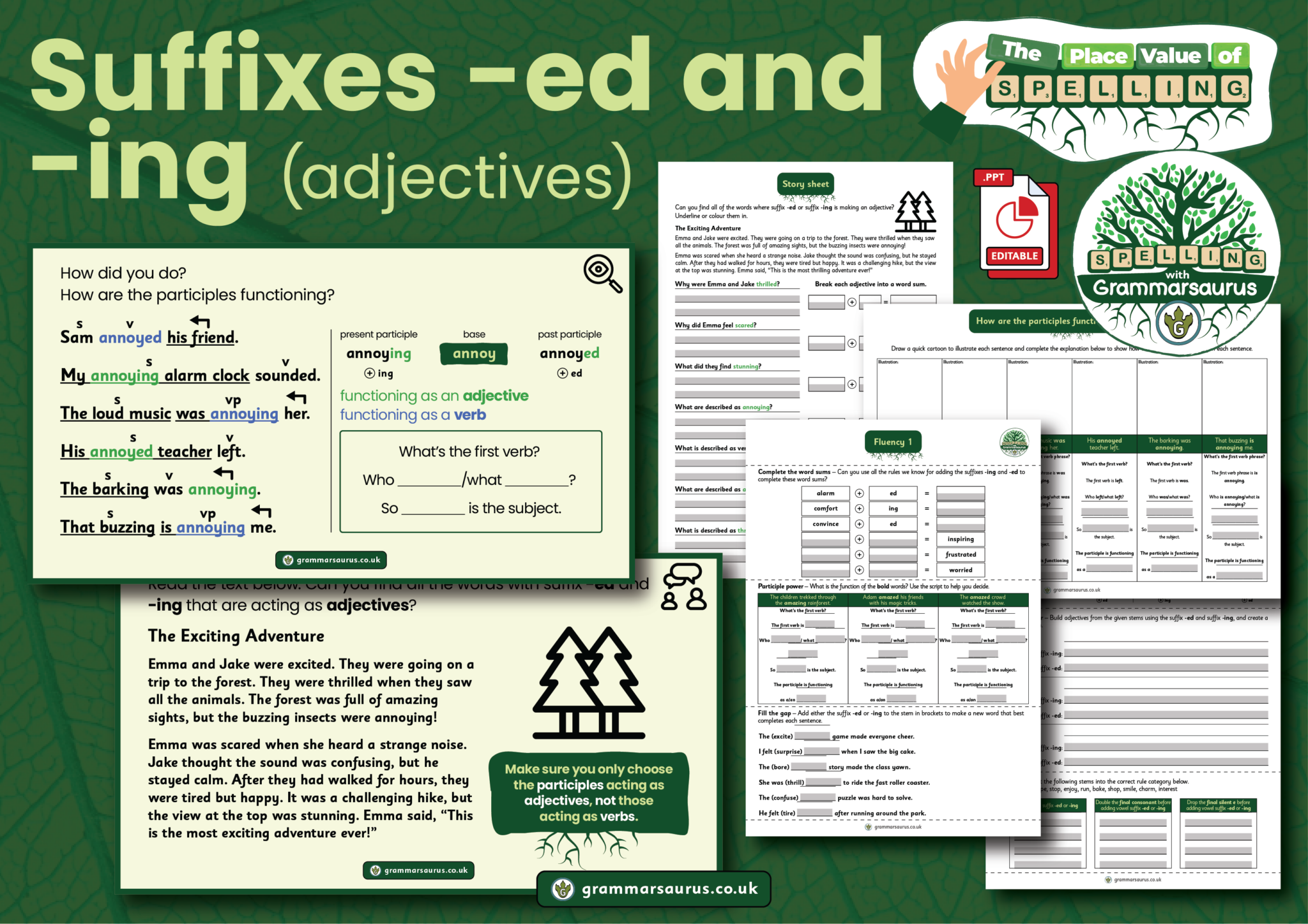 Y2 Objective 19 - Suffixes -ed and -ing (adjectives) - Grammarsaurus