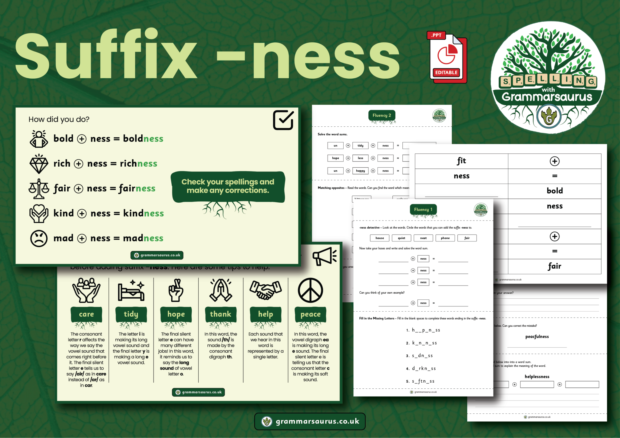 Y2 Objective 18 (Suffix -ness) - Grammarsaurus