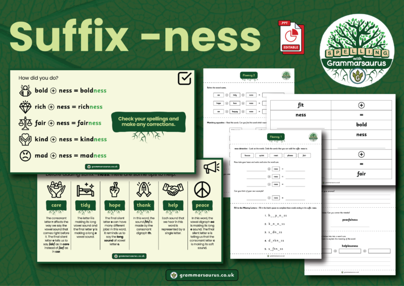 Y2 Objective 18 (Suffix -ness) - Grammarsaurus