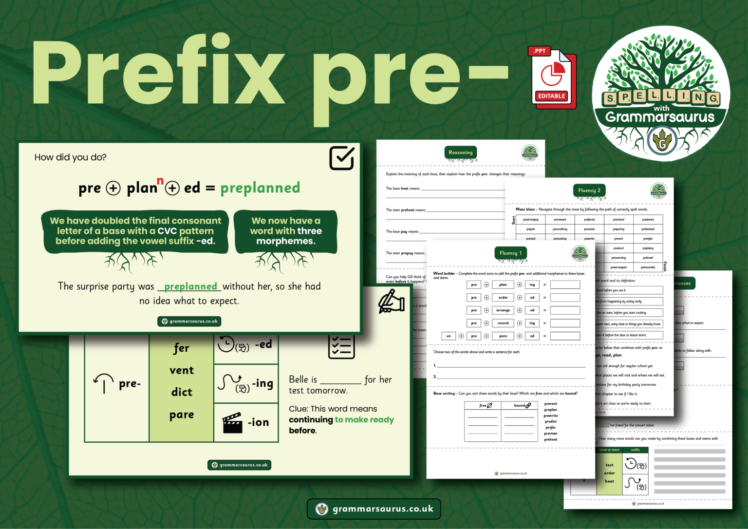 Y3 objective 12 (Prefix pre-) - Grammarsaurus