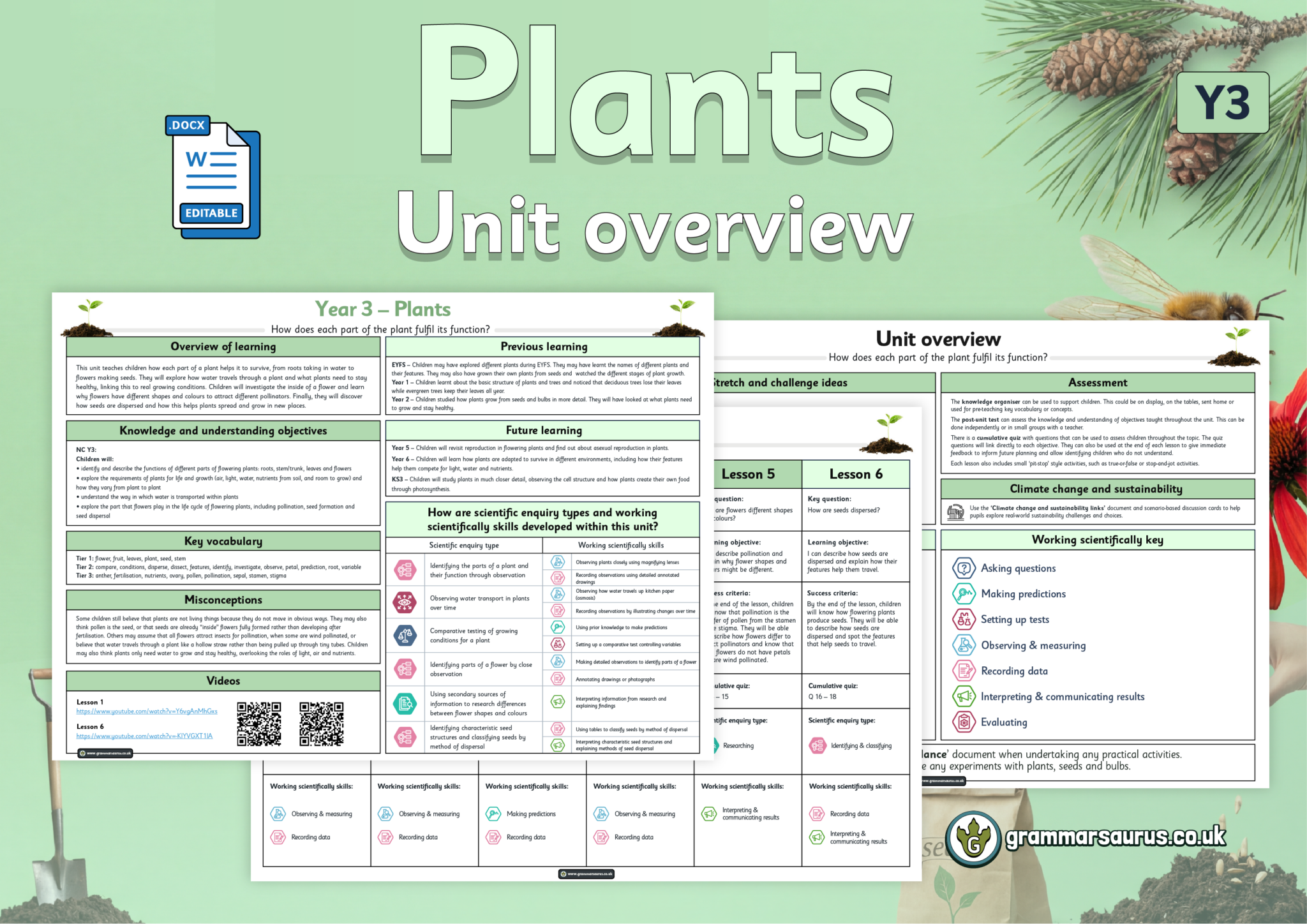 Year 3 Science – Plants – Unit overview - Grammarsaurus