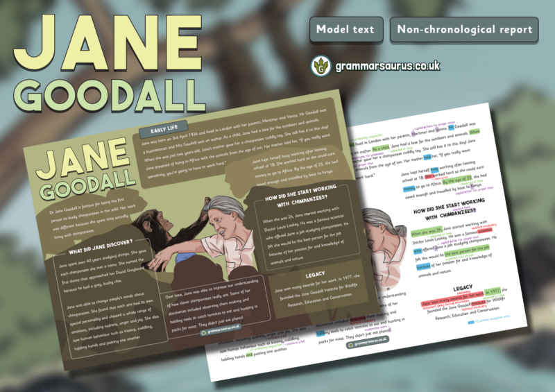 Year 2 Model Text – Non-chronological report – Jane Goodall - Grammarsaurus