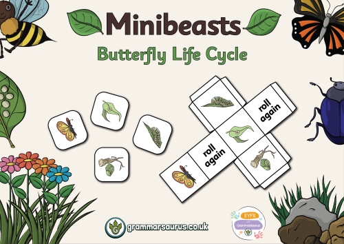 EYFS Minibeasts – Butterfly Life Cycle - Grammarsaurus