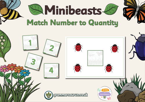 EYFS Minibeasts – Match Number to Quantity - Grammarsaurus