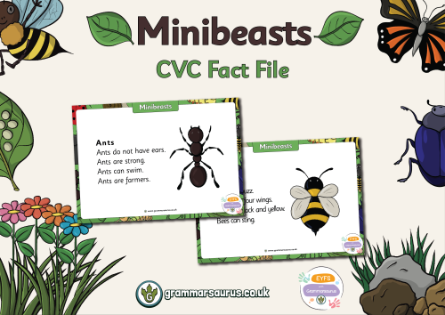 EYFS Minibeasts – CVC Fact File - Grammarsaurus
