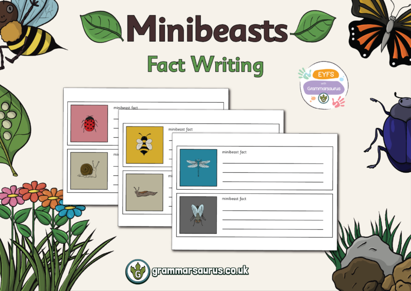 EYFS Minibeasts – Fact Writing - Grammarsaurus