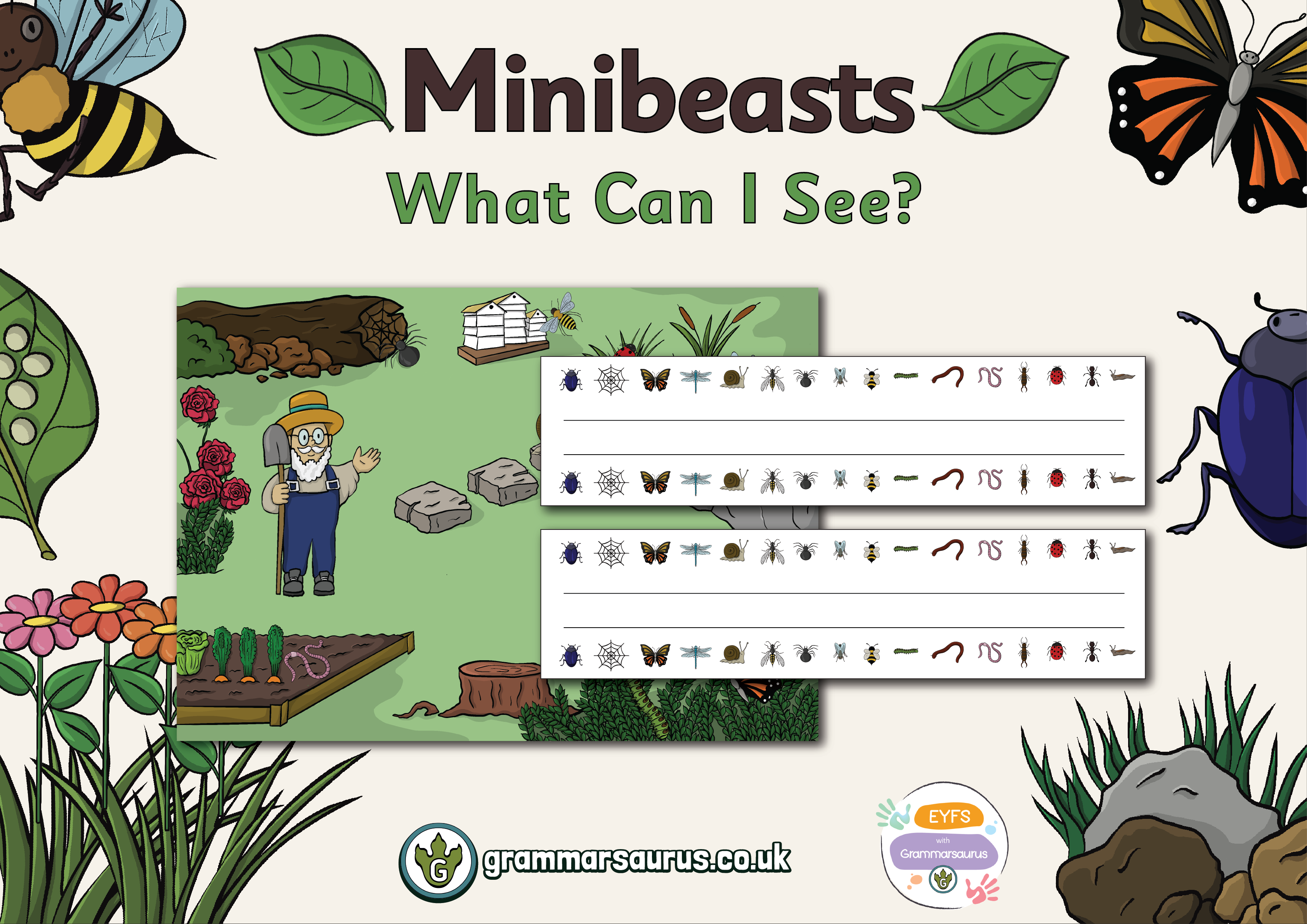 EYFS Minibeasts – What Can i See - Grammarsaurus