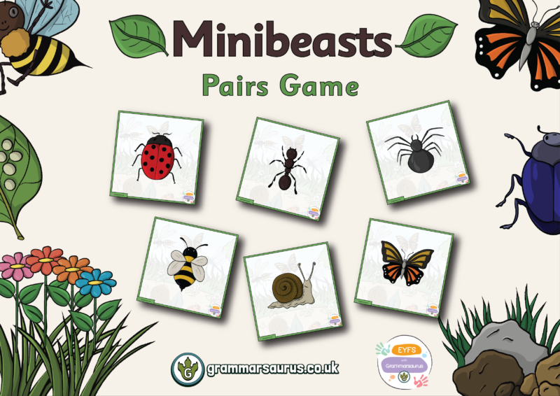 EYFS Minibeasts – Pairs Game - Grammarsaurus