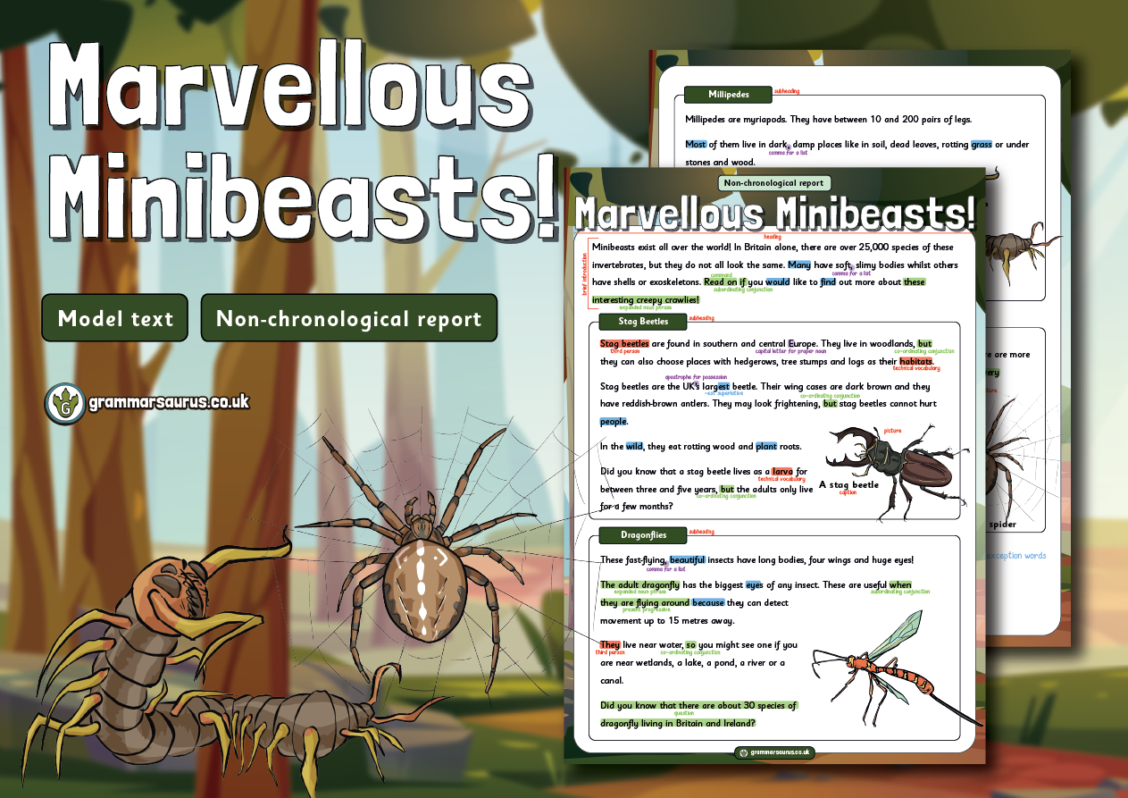 Year 2 Model Text – Non-chronological report – Marvellous Minibeasts ...