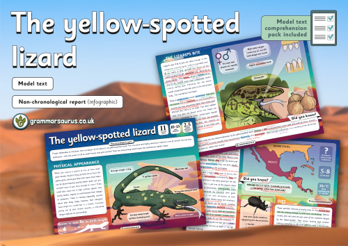 Year 6 Model Text - Non-chronological Report (Infographic) - The Yellow ...