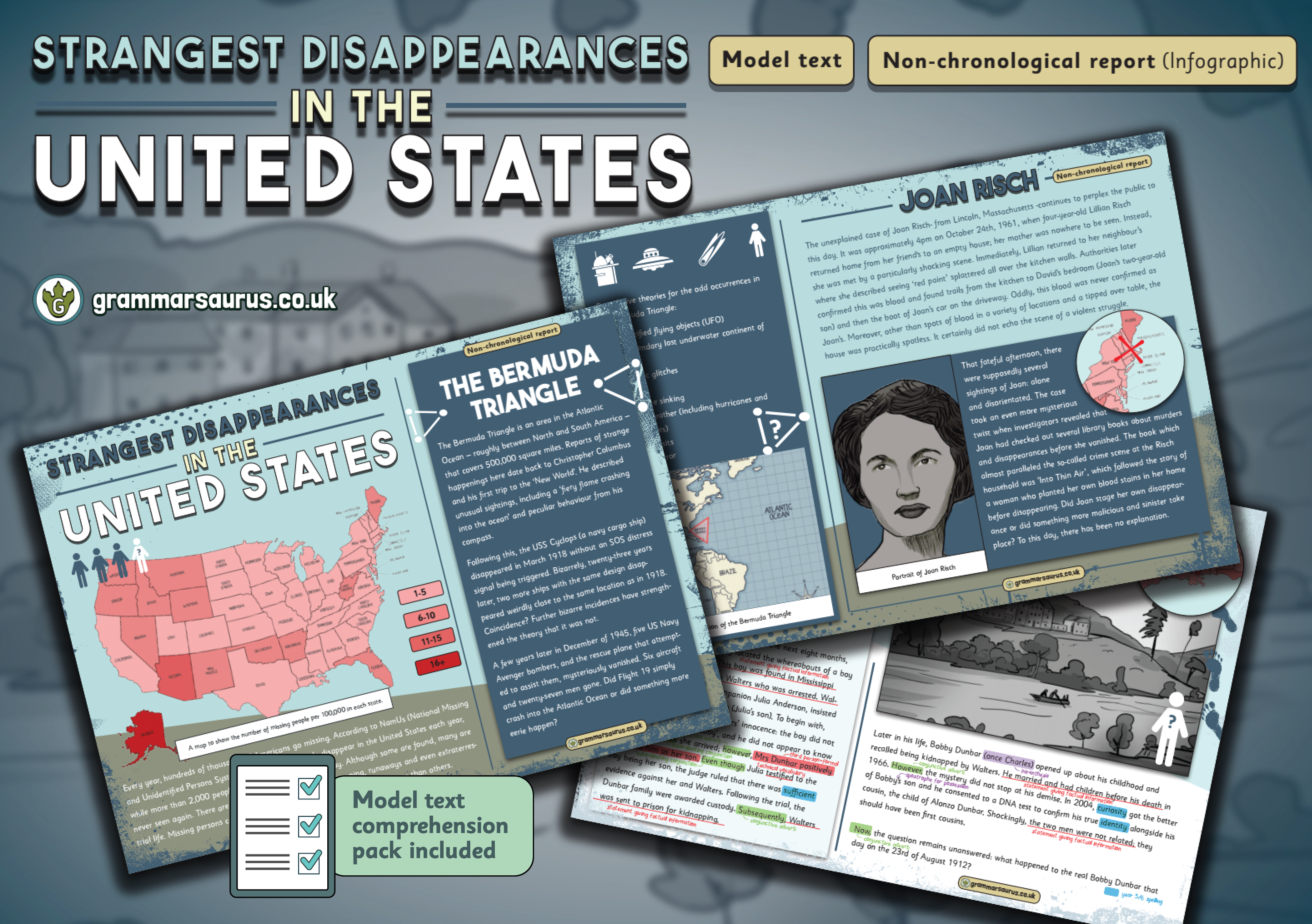 EYFS Minibeasts – CVC Fact File - Grammarsaurus