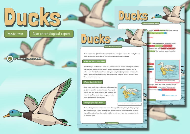 Y2 Non-chronological report - Page 2 of 6 - Grammarsaurus