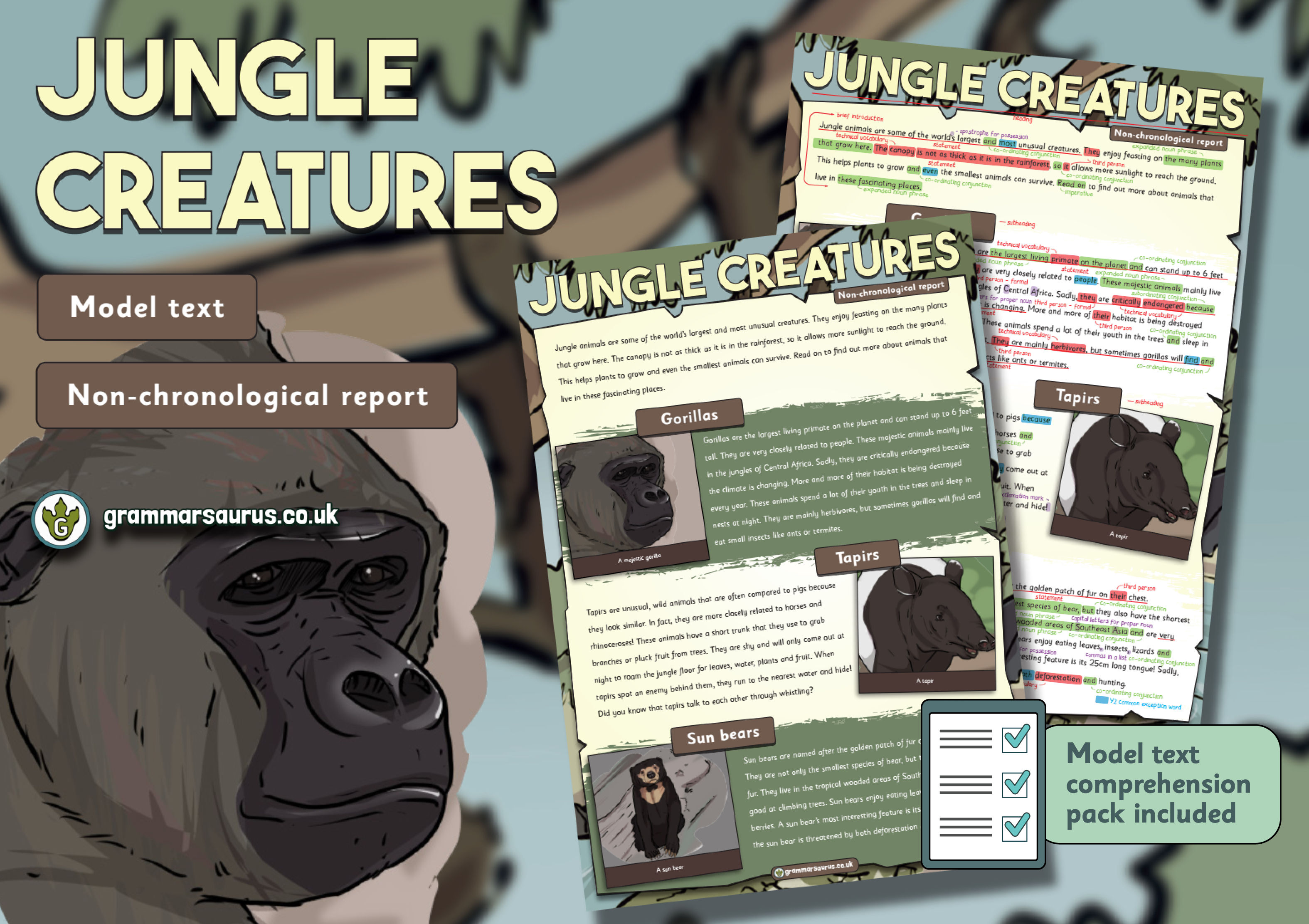 Year 2 Model Text – Non-chronological report – Jungle Creatures ...