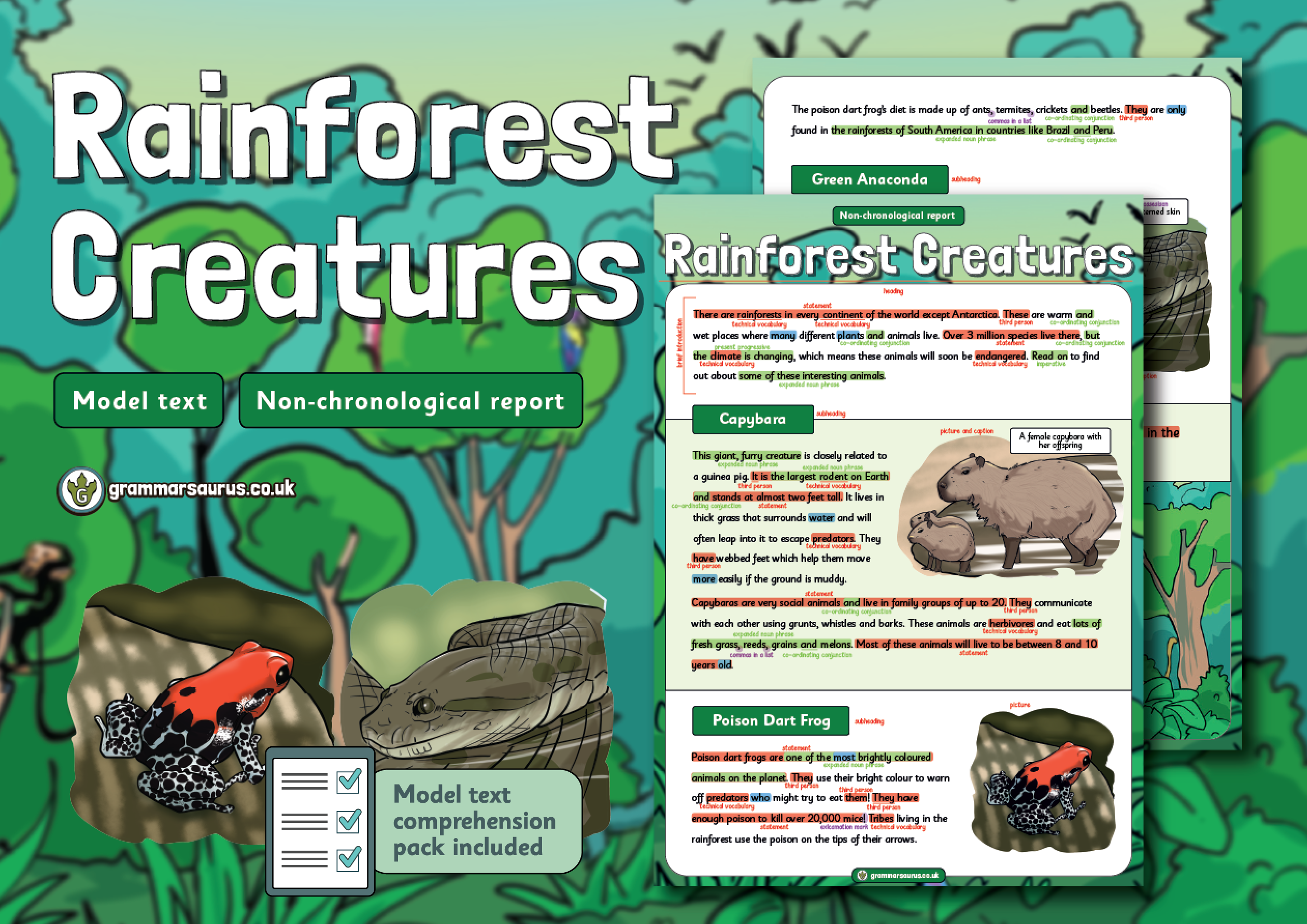 Year 2 Model Text – Non-chronological report – Rainforest Creatures ...